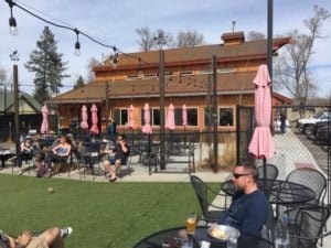 Dog Friendly Breweries In Colorado Springs | Ponderosa Veterinary Clinic